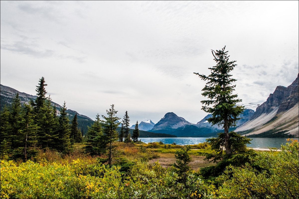 Wanderlust: Banff National Park | Joel and Amber Photography